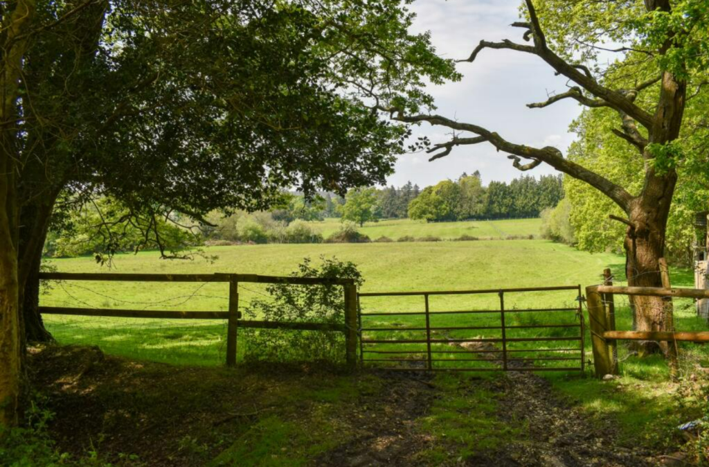 Linwood, Ringwood, BH24 1AG